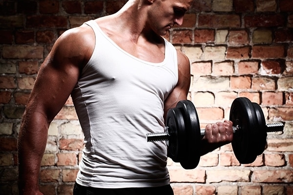 Rede Alpha Fitness Rede Alpha Fitness